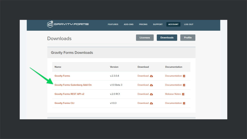 WordPress Plugins Adopting Gutenberg — A Case Study Featuring Gravity Forms!